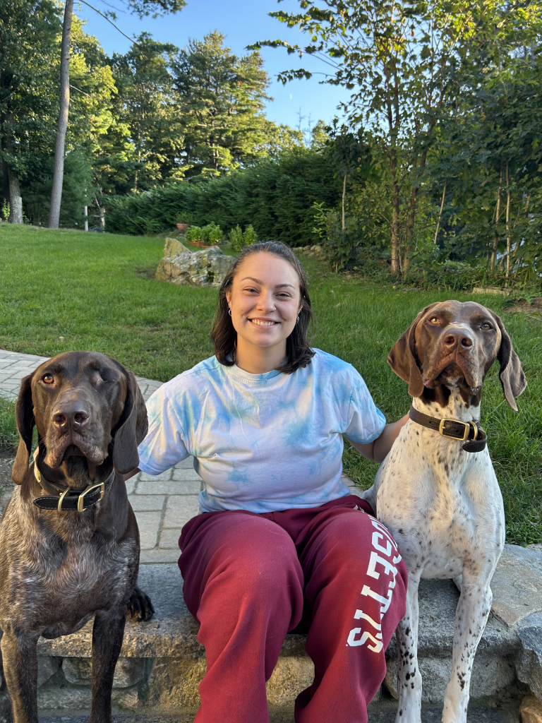 Certified Professional Dog Trainers in Marlborough, MA